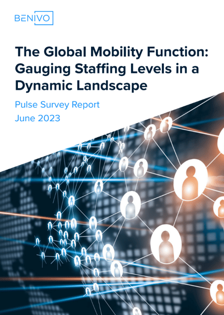 Benivo - The Global Mobility Function Benchmark Report